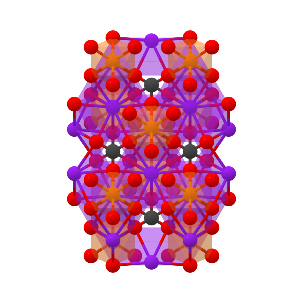 Anastasiya Golubkova